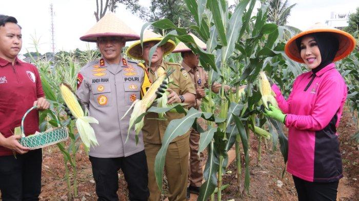 Polda Sumsel Launching Program Pekarangan Pangan Lestari, Dukung Ketahanan Pangan Nasional ...