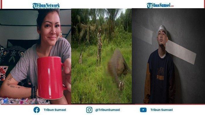 Gajah Dibunuh Hingga Terpenggal Di Aceh, Rapper Tuan Tiga Belas dan ...