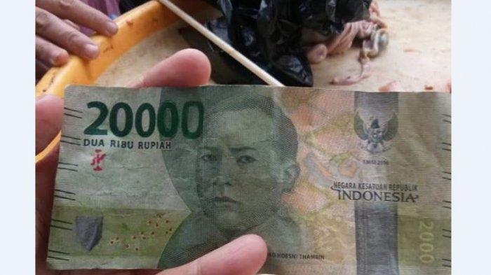 Tambah Angka 0 di Uang Rp 2.000, Sejumlah Pedagang di Pagaralam Tertipu ...
