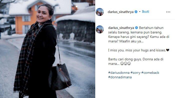 Profil Dona Agnesia Istri Darius Sinathyra Mulai Jejak Karir dan ...