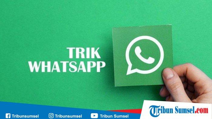 Cara Mengubah Tanda Centang Dua WhatsApp (WA) dengan Emoticon, Mudah ...