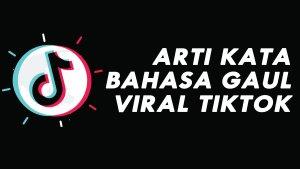 Apa Itu Ani Ani Bahasa Gaul Istilah Populer dan Viral di Tiktok, Ini Tugasnya - Tribunsumsel.com