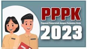 Cara Pengisian DRH NI PPPK 2023 di sscasn.bkn.eo.id, Ini Daftar Dokumen dan Contoh Surat Lamaran ...