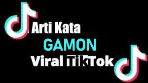NT dalam Bahasa Gaul Adalah Apa? Ternyata Bukan Hanya Nice Try, Ini Arti Lain dan Contohnya ...