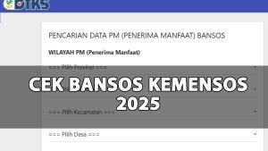 Tahap 2 Cair di bulan April-Juni 2025, Berikut Cara Cek Penerima Bansos PKH dan BNPT 2025 ...