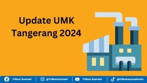 Besaran UMK Kota Batam Terbaru 2024, Lengkap Daftar Upah Minimum ...