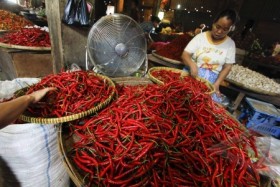 Hargai Cabai di Jember Tembus Rp 100 Ribu Per Kg - Surya.co.id