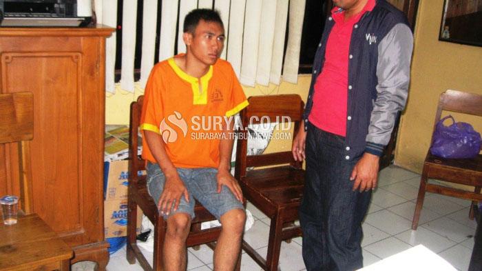 Sadis, Usai Bercinta Roberto Benturkan Kepala Murni ke Pohon Jati ...