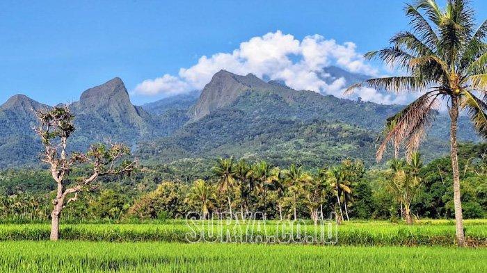 Seperti Ini Kondisi Gunung Saeng Bondowoso, Lokasi Jatuhnya Pendaki Asal Jember - Halaman all ...