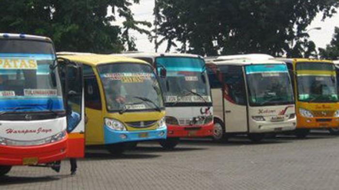 Harga Tarif Bus AKAP Masih Normal, Belum Ada Penurunan - Surya.co.id
