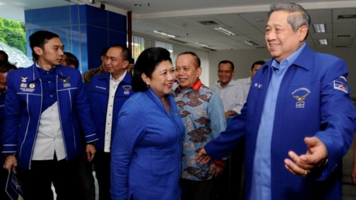 Demokrat Butuh Figur Kuat agar Tak Seperti Golkar dan PPP - Surya.co.id