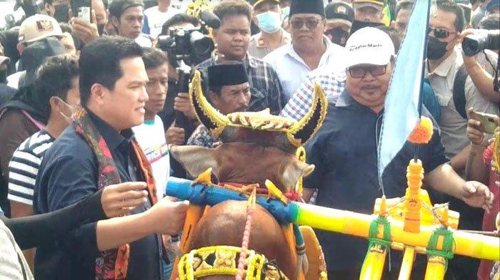 Perebutkan Piala Presiden, Kejuaraan Karapan Sapi 2022 Bakal Digeber di ...