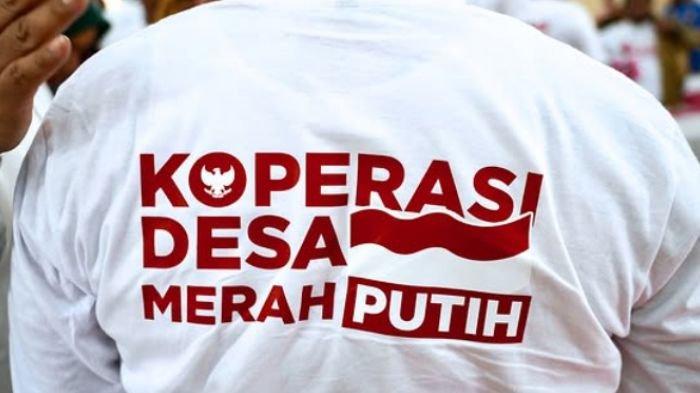 Besaran Gaji Pengurus Koperasi Merah Putih Ternyata Bukan Rp 5 Juta, Stafsus Menkop Beri Bocoran ...