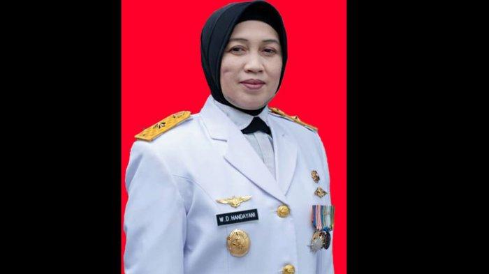 Biodata Laksda Wiwin Dwi Handayani, Jenderal Wanita yang Tegaskan Tak ...