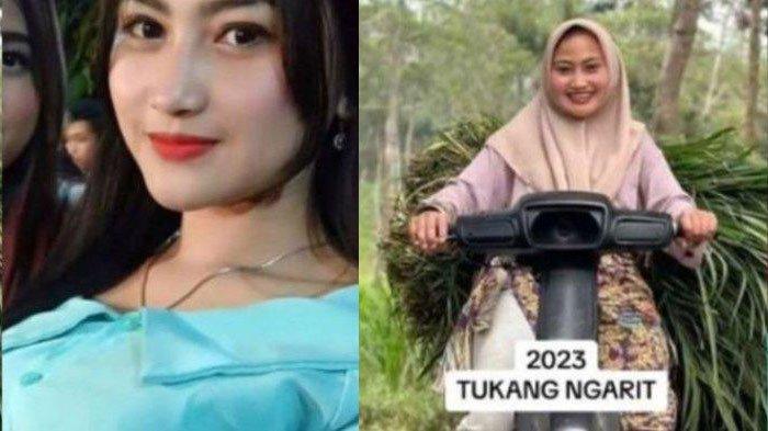 Berita biodata Novi Listy Terbaru Hari Ini - Surya.co.id