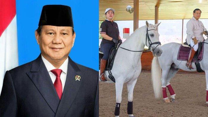 Biodata Prabowo Subianto yang Disebut Perpeluang Menang Pilpres 2024 dan Duet Dengan Puan ...