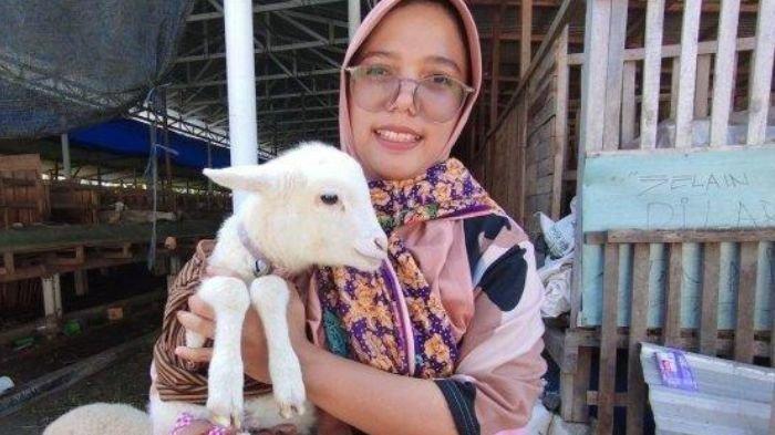 Cerita Bidan Viral Pelihara Anak Domba bak Anak Sendiri, Gendong Pakai Jarit hingga Ajak ke ...