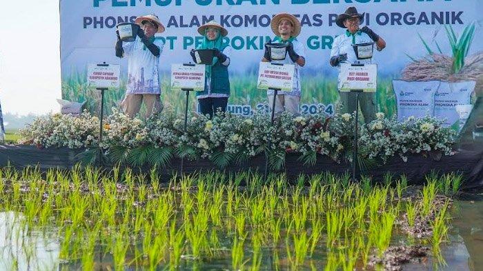 Tingkatkan Hasil Panen, Petrokimia Gresik Bantu Komunitas Petani Padi Organik di Ciparay Bandung ...