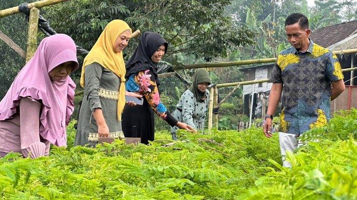 Pastikan Ada Perhatian Pemerintah, Sugiarto Puji Aktivitas Poktan ...