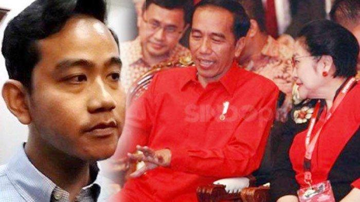 Imbas Jokowi dan Gibran Tak Diakui Kader PDIP Lagi, Diklaim Keluarga PAN, Ini Reaksi Wali Kota ...