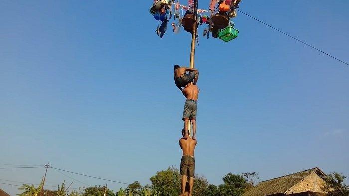 8 Alternatif Perlengkapan Lomba Panjat Pinang Supaya Tetap Aman dan ...