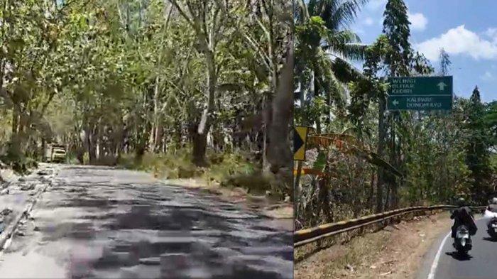 Rawan Kecelakaan, Jalan Menuju Lokasi Wisata Pantai Modangan Malang ...