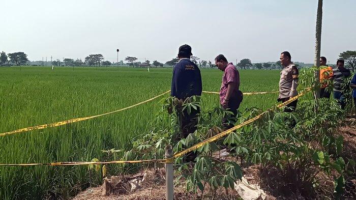 Kakek Pencari Rumput di Madiun Meninggal Tersengat Jebakan Tikus ...