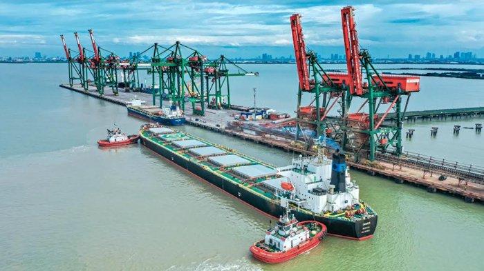 Kapal Curah Bawa Jagung Impor dengan Kedalaman 13 Meter Standar dan ...