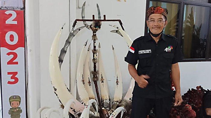 Kostum Gajah Purba Berbobot 35 Kg Tampil di Defile Prehistoric JFC 2023 ...