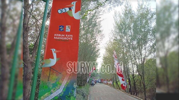 Ini Ciri Khas Kebun Raya Mangrove Surabaya yang Diresmikan Megawati ...