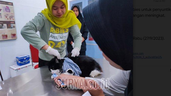 Hari Rabies Sedunia, Ratusan Kucing dan Anjing di Banyuwangi Mendapat ...