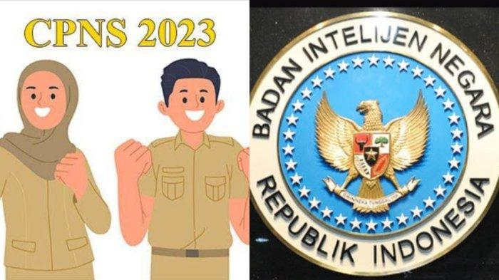 LINK DAFTAR CPNS 2023 untuk Formasi BIN, Terbuka untuk SMA hingga S2, Lengkap dengan Syaratnya ...