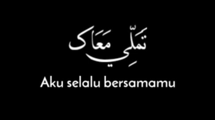 Lagu Tamally Ma'ak Lirik Arab, Latin dan Terjemahan Indonesia - Surya.co.id
