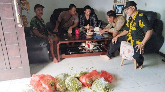 Pria Banyuwangi Nekat Curi Cabai Tetangga Saat Harga Meroket, Berakhir Ditangkap Warga - Surya.co.id