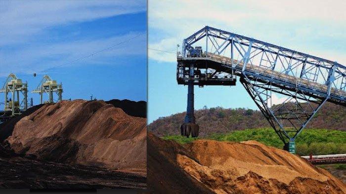 PLN NP Sumbang 19.902 MWh Energi Bersih di Triwulan Pertama Tahun 2023 - Surya.co.id