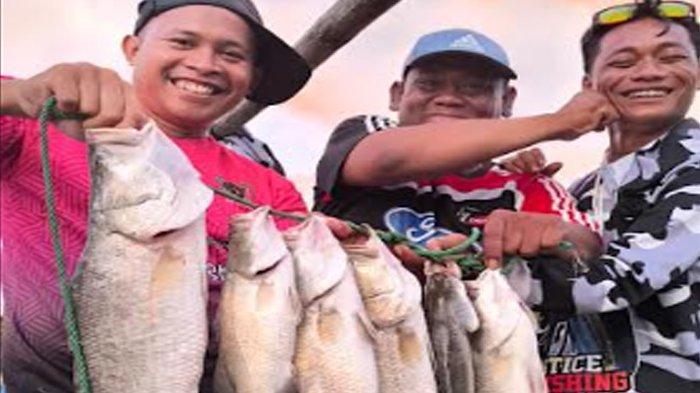 Spot Mancing di Sungai Bengawan Solo Gresik, Rasakan Sensasi Tarikan Ikan Kakap Putih - Surya.co.id