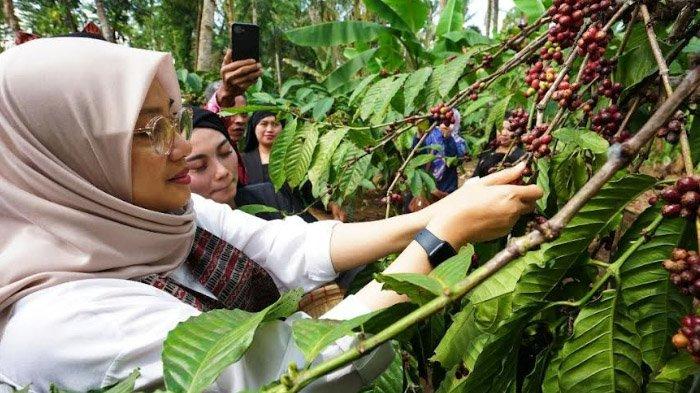 Lewat Pesta Rakyat Kopi Gombengsari, Pemkab Banyuwangi Pertahankan ...