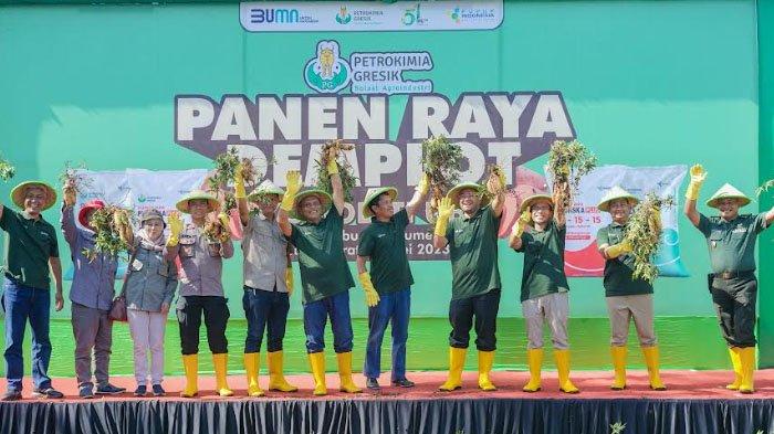 Tingkatkan Hasil Panen Ubi Cilembu, Petrokimia Gresik Menambah Areal ... Tingkatkan Hasil Panen Ubi Cilembu, Petrokimia Gresik Menambah Areal ...