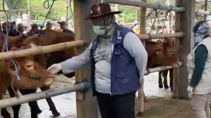 DKPP Kota Blitar Temukan Sapi Suspek PMK dan LSD Saat Lakukan ...