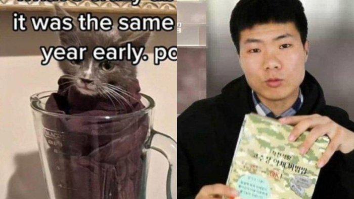 SIAPA Xu Zhihui yang Tega Blender Kucing Hidup-Hidup? Vlogger Terkenal ...