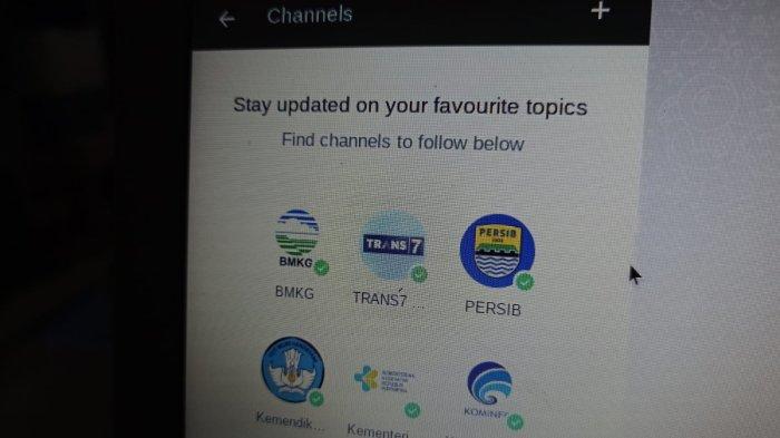 STATUS yang Dibisukan di WhatsApp Tak Muncul Gegara Fitur Saluran ...