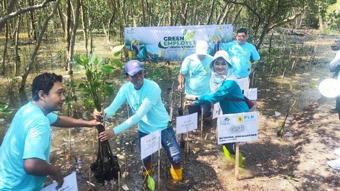 PLN Icon Plus Gelar CSR Hari Lingkungan Hidup 2024 di Ekowisata ...