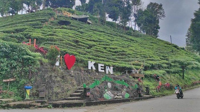 Tren Pengunjung Naik, Pengelola Kebun Teh Sirah Kencong Kab Blitar ...