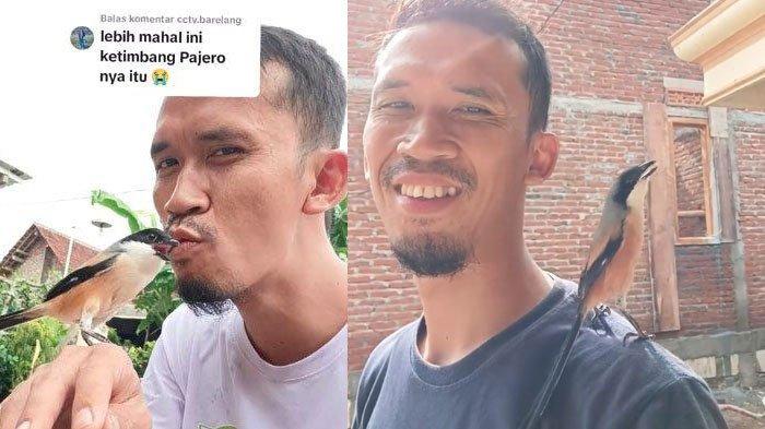 Tips Bikin Cendet Pintar dan Bersuara Merdu ala Haqi, Pemilik Burung ...