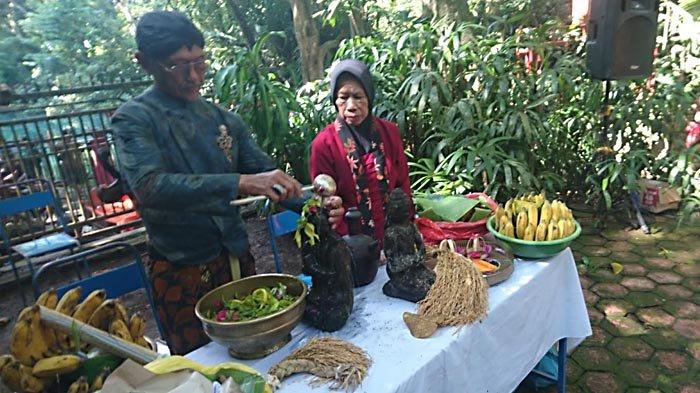 Bupati Tulungagung Berharap Ulur-ulur Bisa Membangkitkan Kesadaran ...