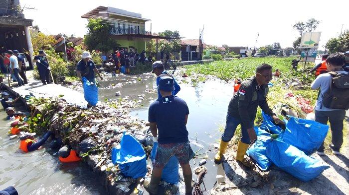 Ratusan Warga Sidoarjo Serentak Bersihkan Enceng Gondok di Sungai Pelayaran - Surya.co.id