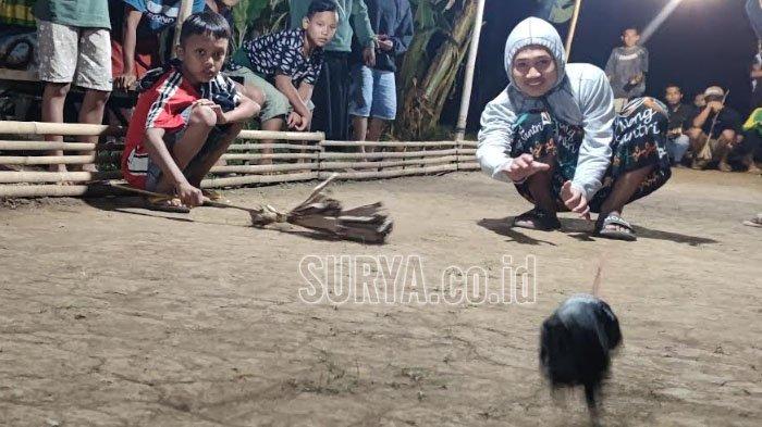 Serunya Lomba Balap Marmut di Desa Pohsangit Lor Probolinggo, Jaga ...