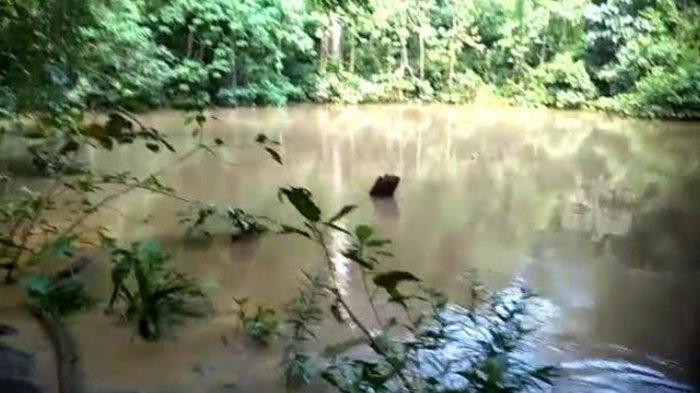 Air Telaga Buret Tulungagung Seketika Meluap Beberapa Menit Setelah ...