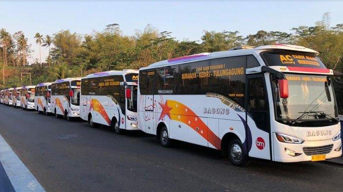 Segera Beroperasi, Bus Bagong Rute Tulungagung-Surabaya PP via Tol ...