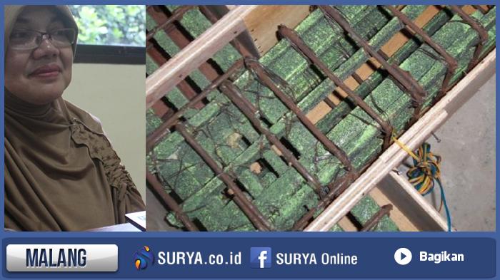 Konstruksi Beton Pakai Bambu Ori Bisa Sekuat Besi Baja - Surya.co.id